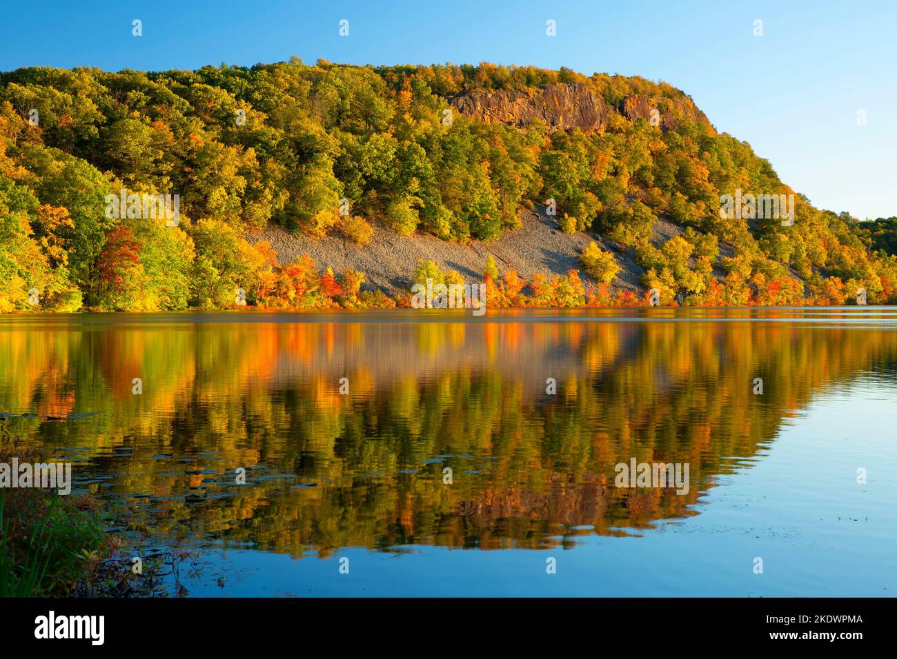 Black pond hi-res stock photography and images - Alamy