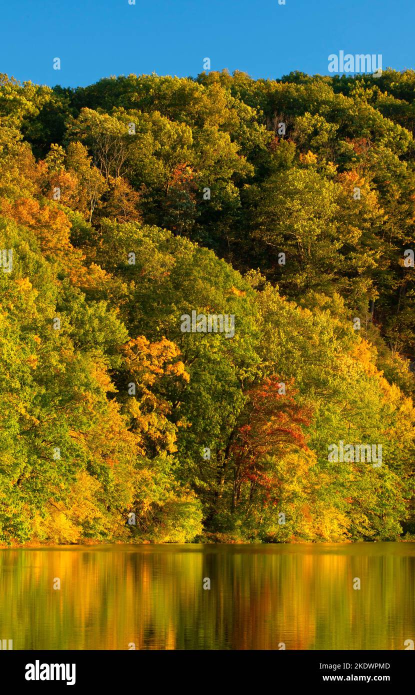 Black pond hi-res stock photography and images - Alamy