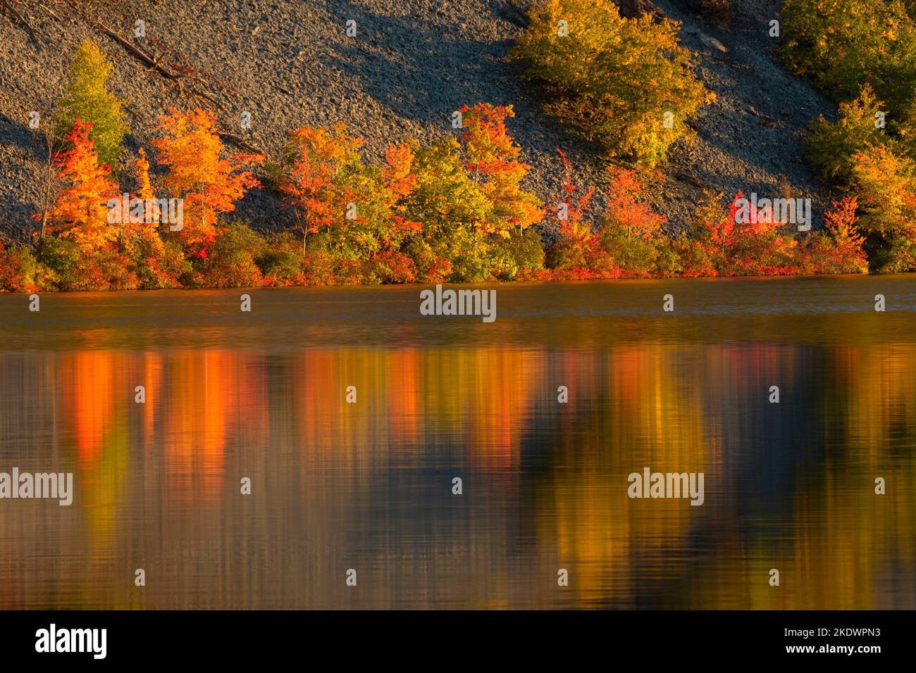 Black pond hi-res stock photography and images - Alamy