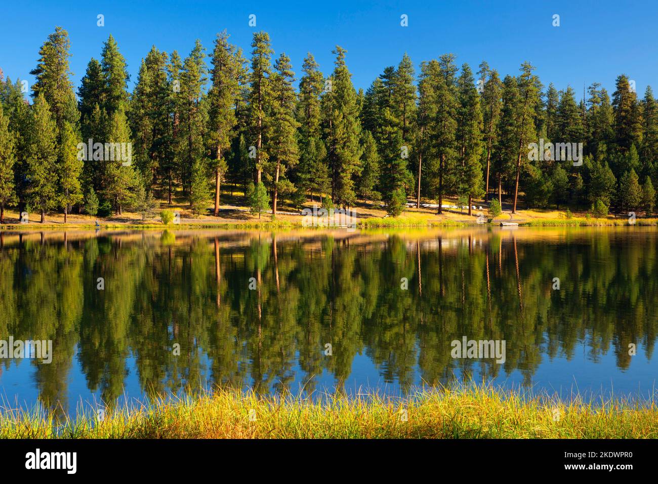 Walton Lake, Ochoco National Forest, Oregon Stock Photo - Alamy