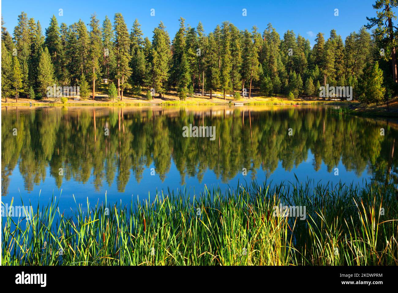 Ochoco national forest hi-res stock photography and images - Alamy
