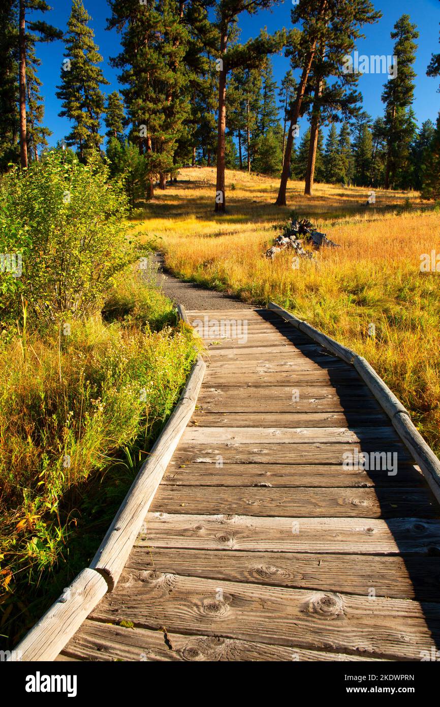 Walton Lake Trail, Ochoco National Forest, Oregon Stock Photo - Alamy