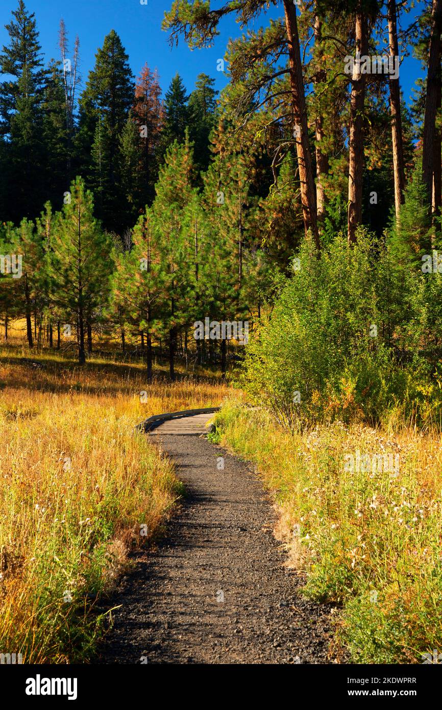 Walton Lake Trail, Ochoco National Forest, Oregon Stock Photo - Alamy