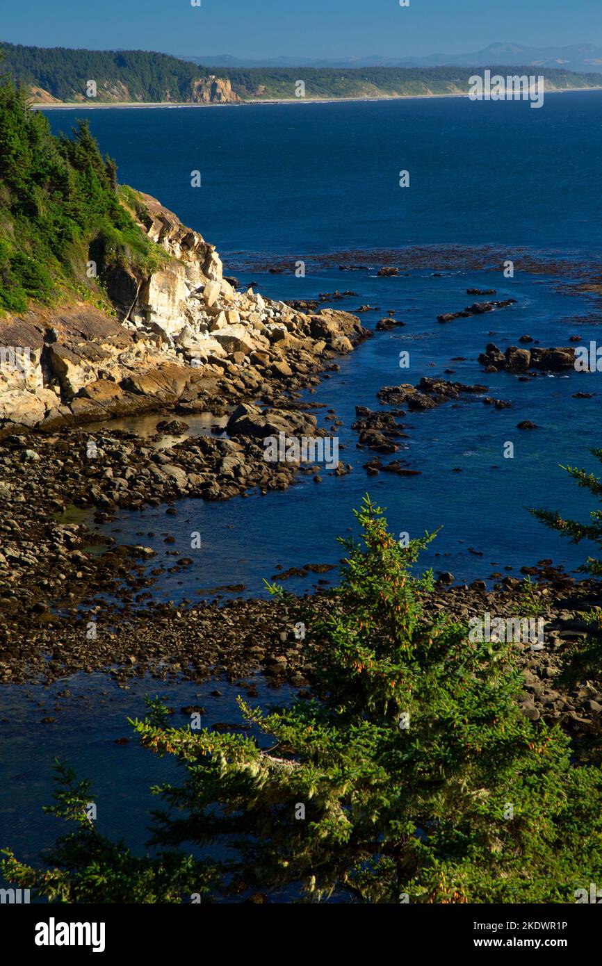 Coast view from Cape Arago, Cape Arago State Park, Oregon Stock Photo ...
