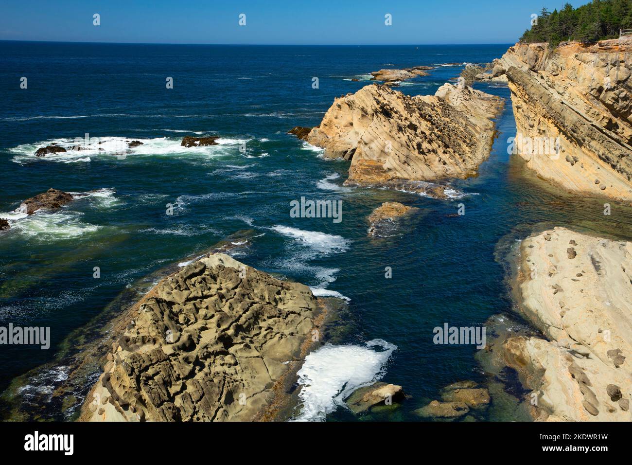 Coastal bluff views, Shore Acres State Park, Oregon Stock Photo - Alamy