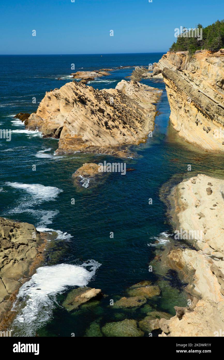 Coastal bluff views, Shore Acres State Park, Oregon Stock Photo - Alamy