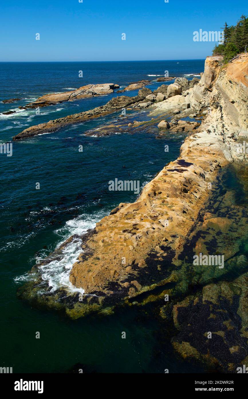 Coastal bluff views, Shore Acres State Park, Oregon Stock Photo - Alamy
