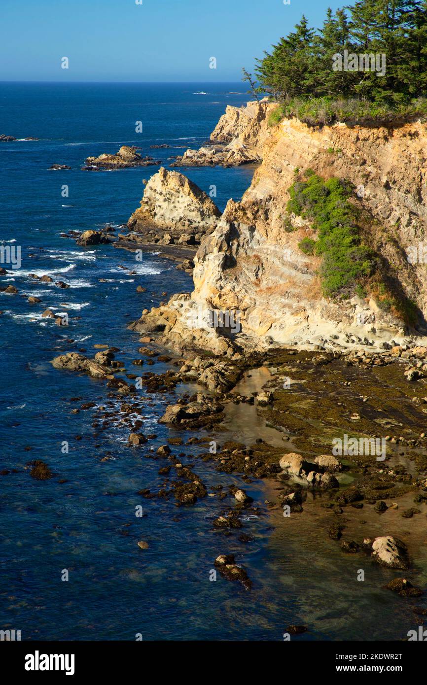 Coastal bluff views, Shore Acres State Park, Oregon Stock Photo - Alamy