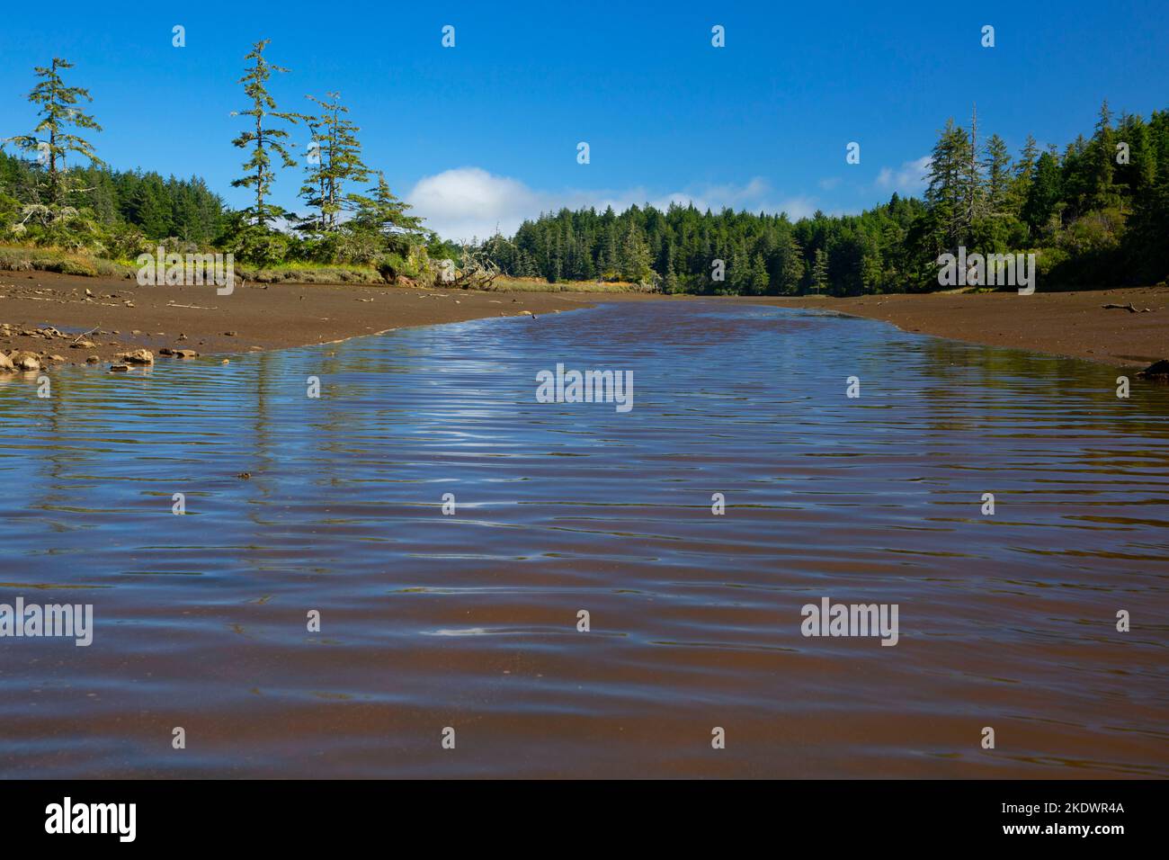 South Slough, South Slough National Estuarine Research Reserve, Oregon ...