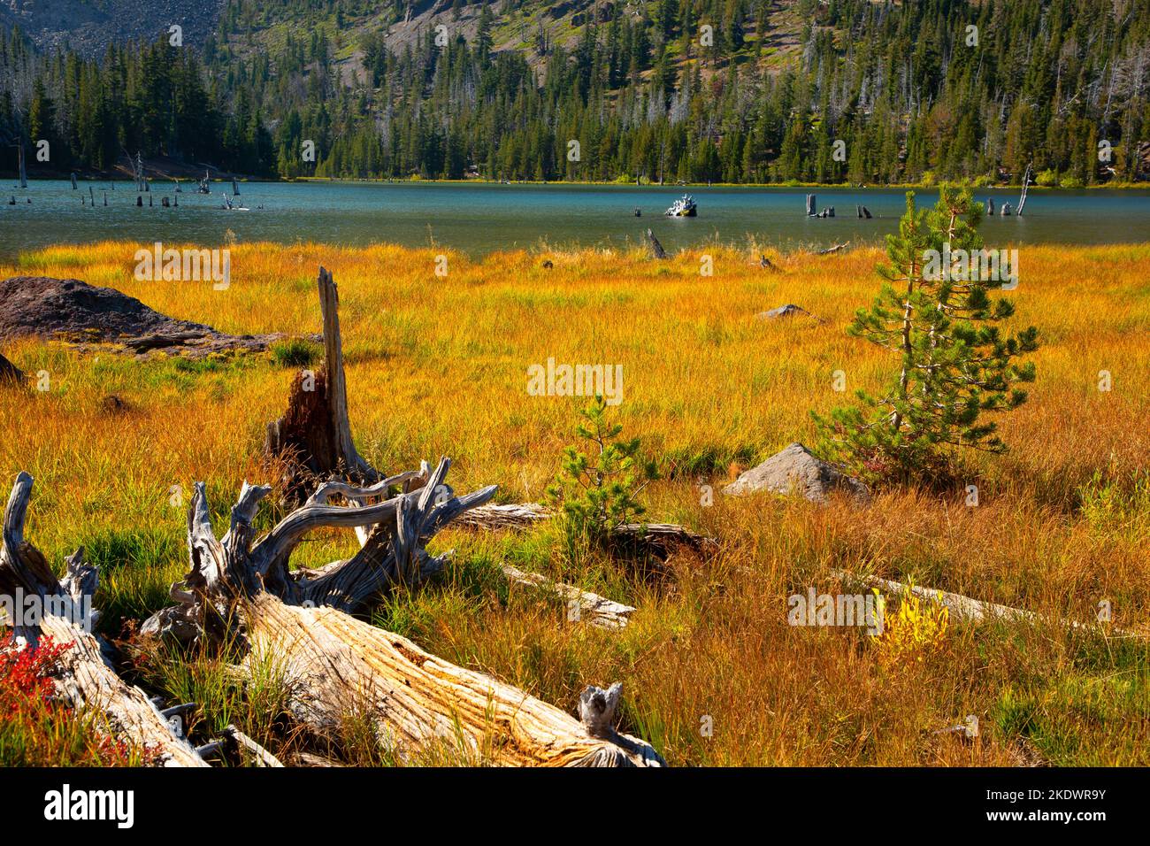 Little Three Creek Lake, Deschutes National Forest, Oregon Stock Photo ...