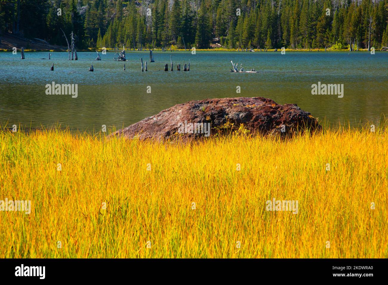Little Three Creek Lake, Deschutes National Forest, Oregon Stock Photo ...