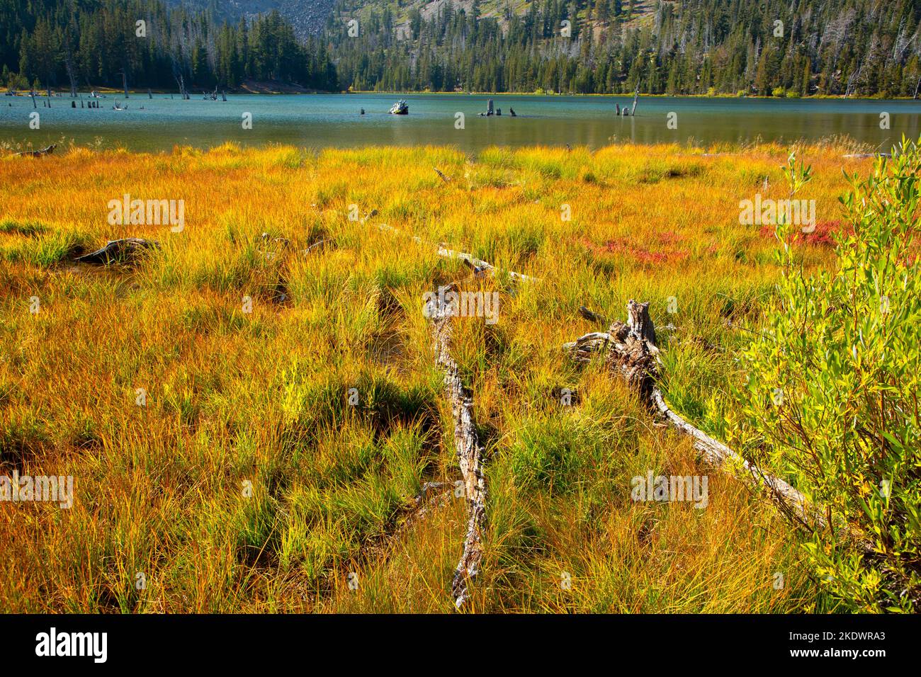Little Three Creek Lake, Deschutes National Forest, Oregon Stock Photo ...