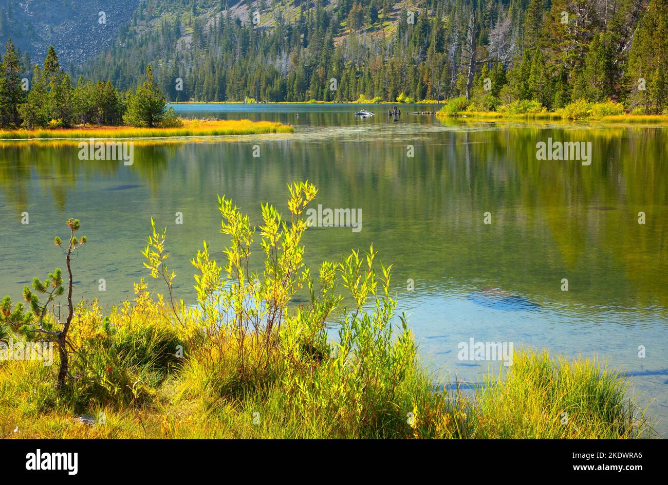 Little Three Creek Lake, Deschutes National Forest, Oregon Stock Photo ...