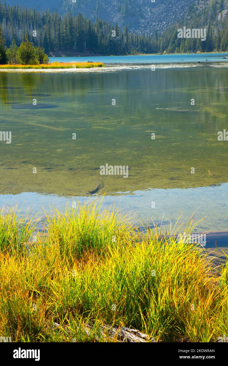 Little Three Creek Lake, Deschutes National Forest, Oregon Stock Photo ...