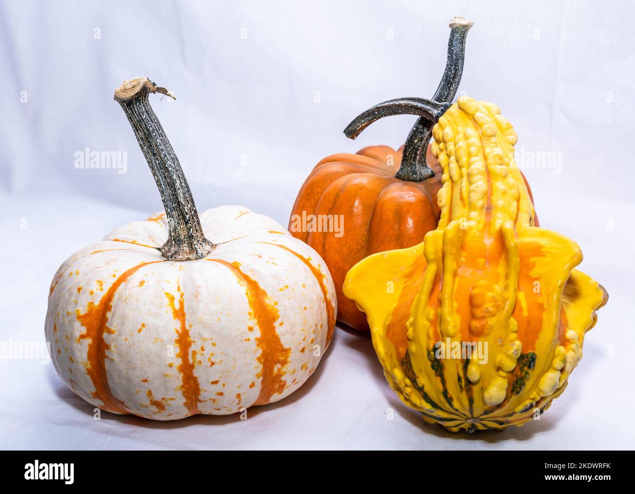Different sized, color and textured pumpkins along with a gourd on a ...
