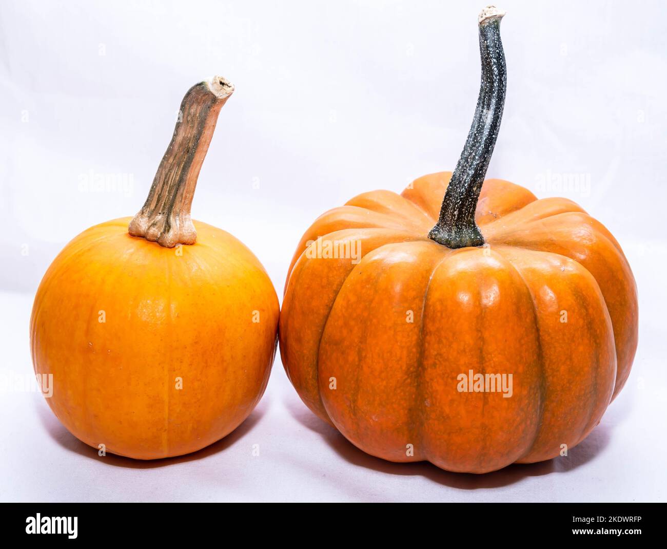 Two different sized pumpkins together on a white background Stock Photo ...