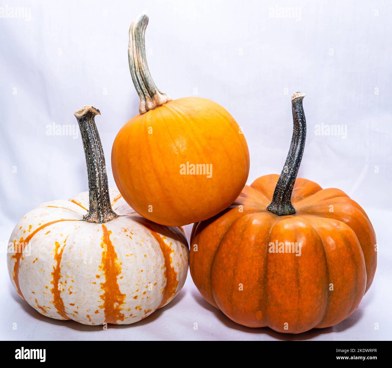 Three different sized pumpkins together on a white background Stock ...