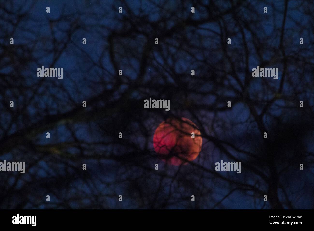 Lunar Eclipse, November 8, 2022, Columbus, Ohio Stock Photo - Alamy