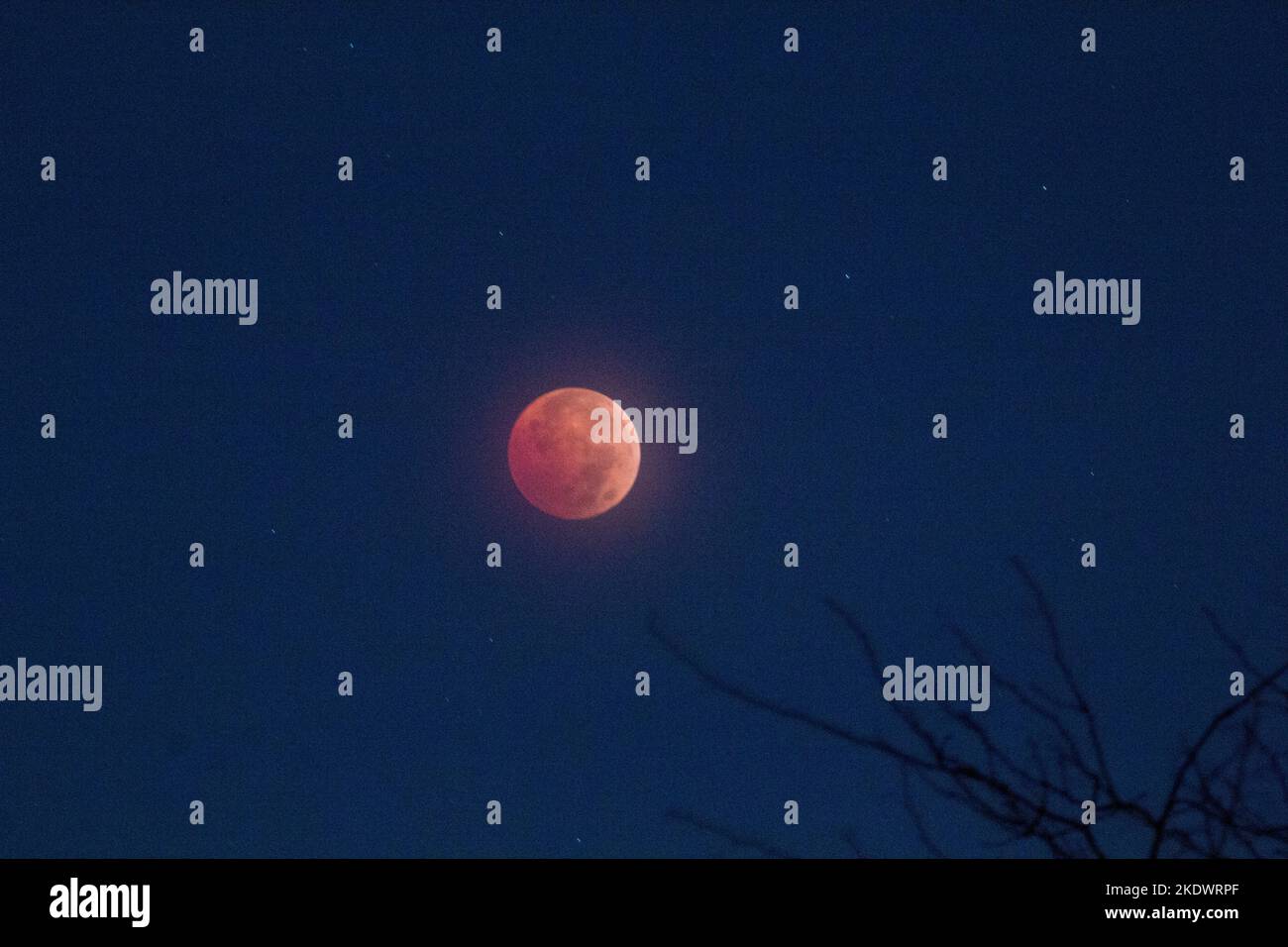 Lunar Eclipse, November 8, 2022, Columbus, Ohio Stock Photo - Alamy