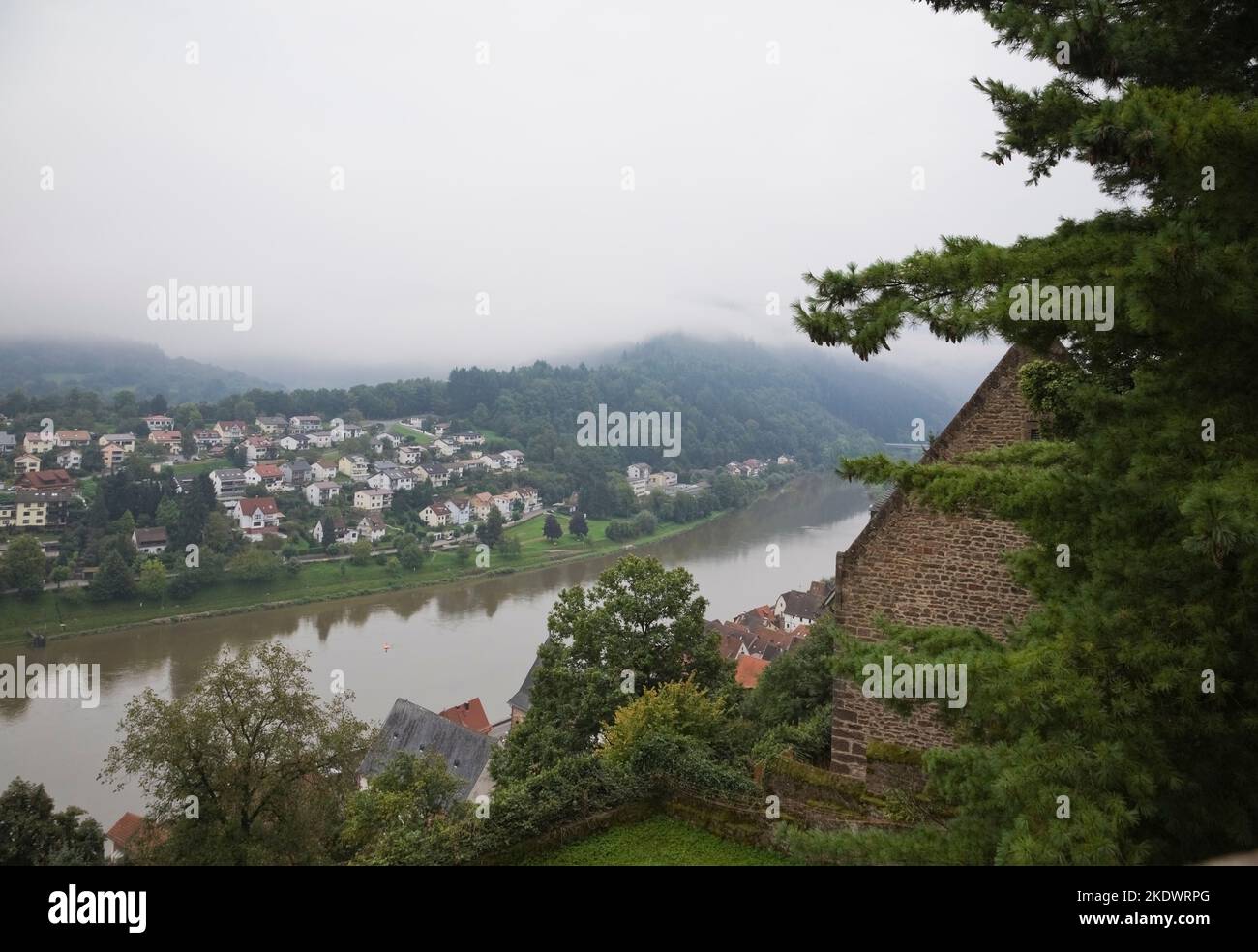 Hirschhorn castle ruins with Neckar river and residential homes and ...