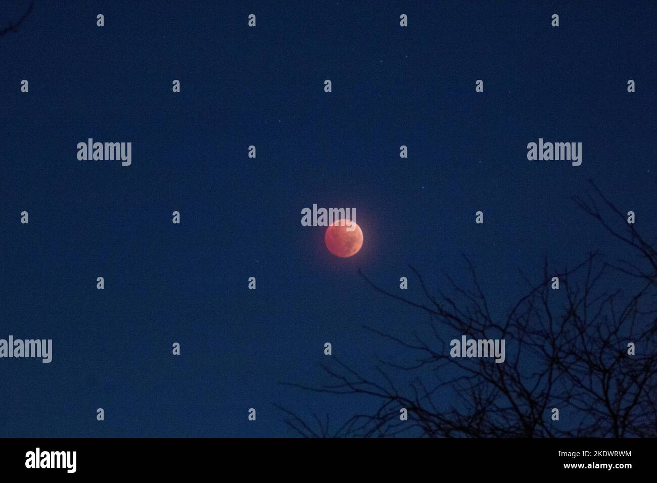 Lunar Eclipse, November 8, 2022, Columbus, Ohio Stock Photo - Alamy