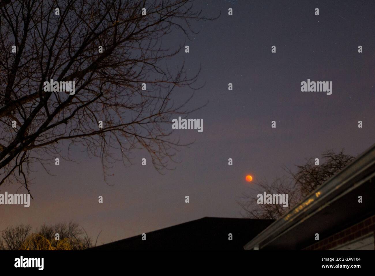 Lunar Eclipse, November 8, 2022, Columbus, Ohio Stock Photo - Alamy