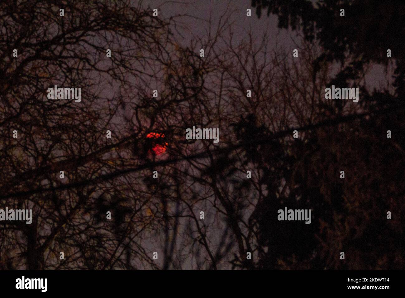 Lunar Eclipse, November 8, 2022, Columbus, Ohio Stock Photo - Alamy