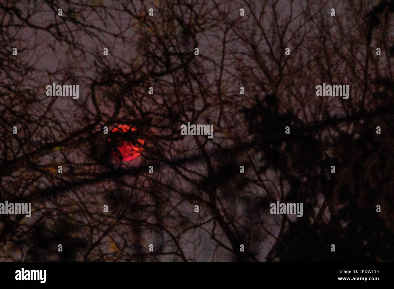 Lunar Eclipse, November 8, 2022, Columbus, Ohio Stock Photo - Alamy