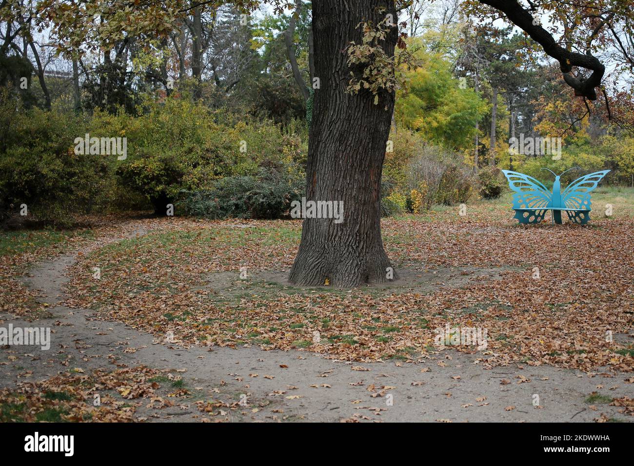 A butterfly-shaped bench and an old tree are visible in the Botanical ...