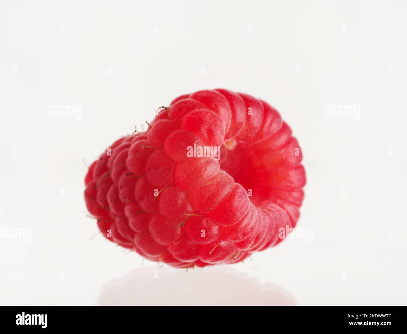 One raspberry. Isolated on a white background. Minimalism. Sweet food ...