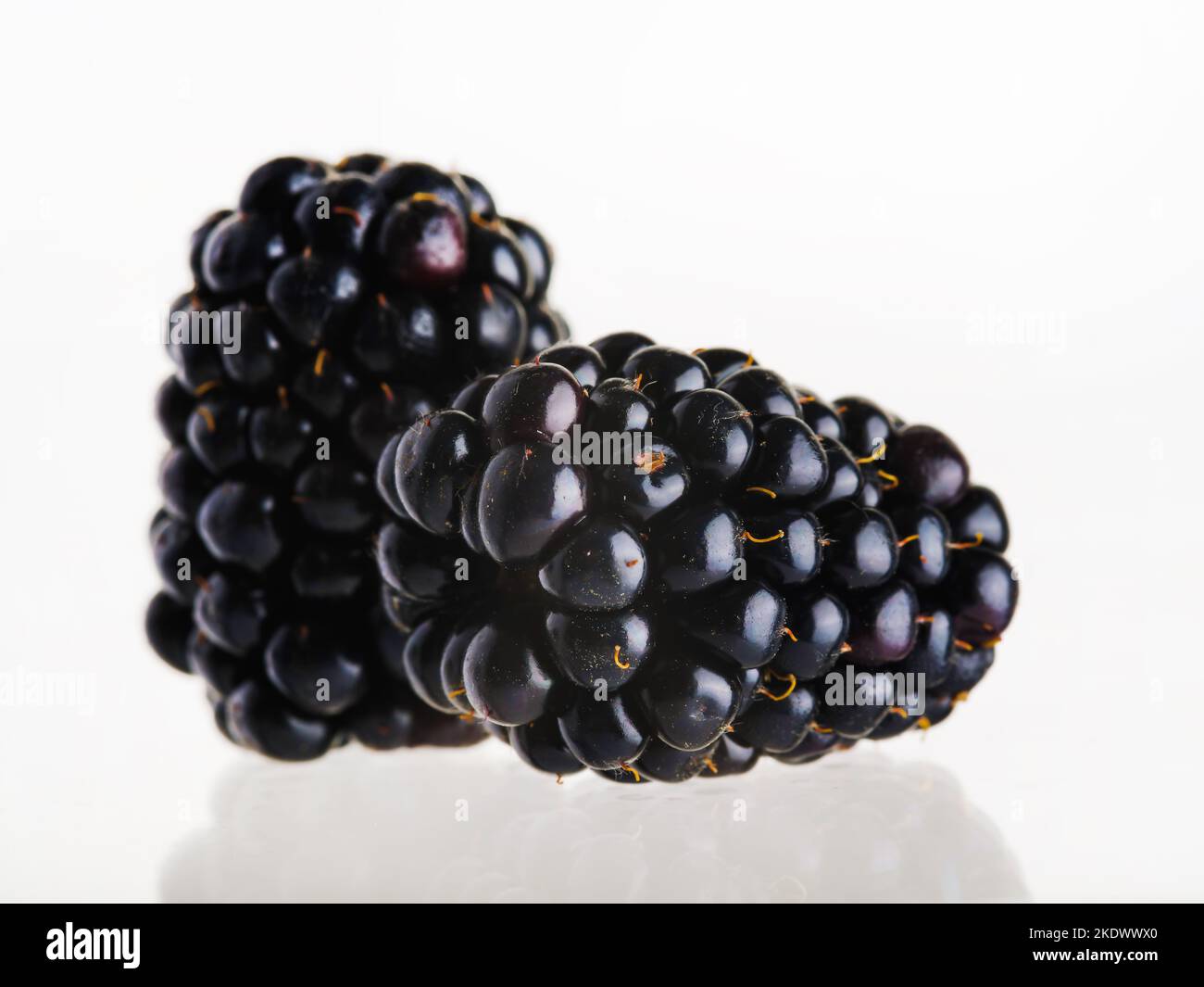 On a plain white background, two blackberries. Tasty, healthy, diet ...