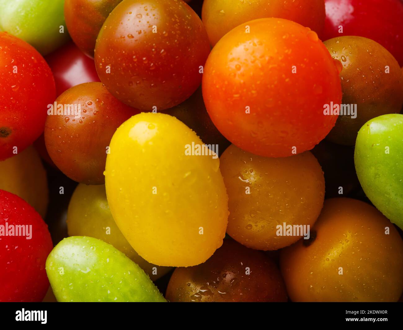 Appetizing colorful tomatoes close-up. Lots of objects. Bright colors ...