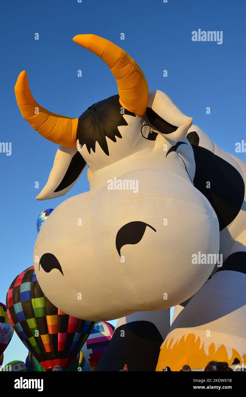 Creamland Cow Hot Air Balloon at Albuquerque international Balloon ...