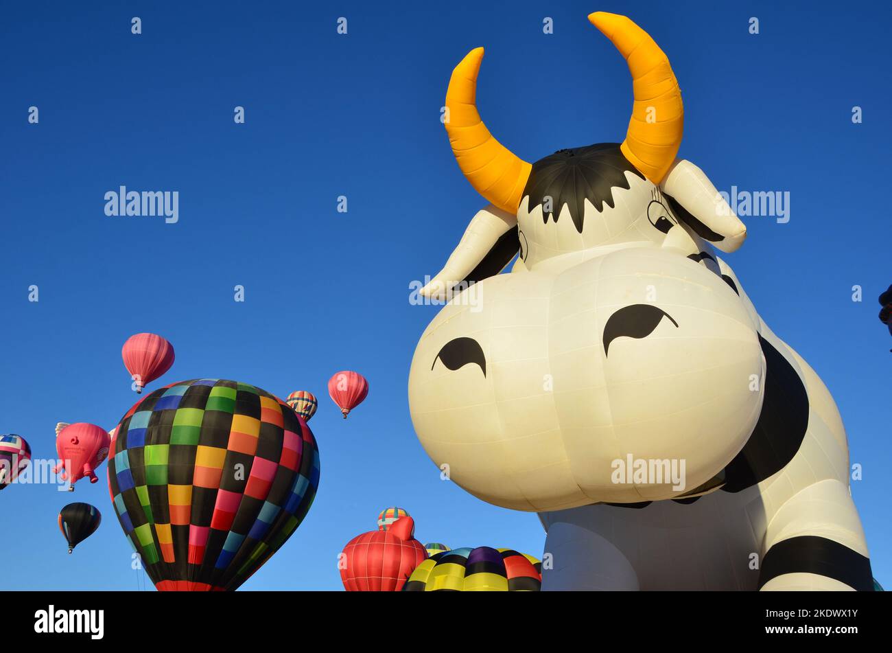Creamland Cow Hot Air Balloon at Albuquerque international Balloon ...
