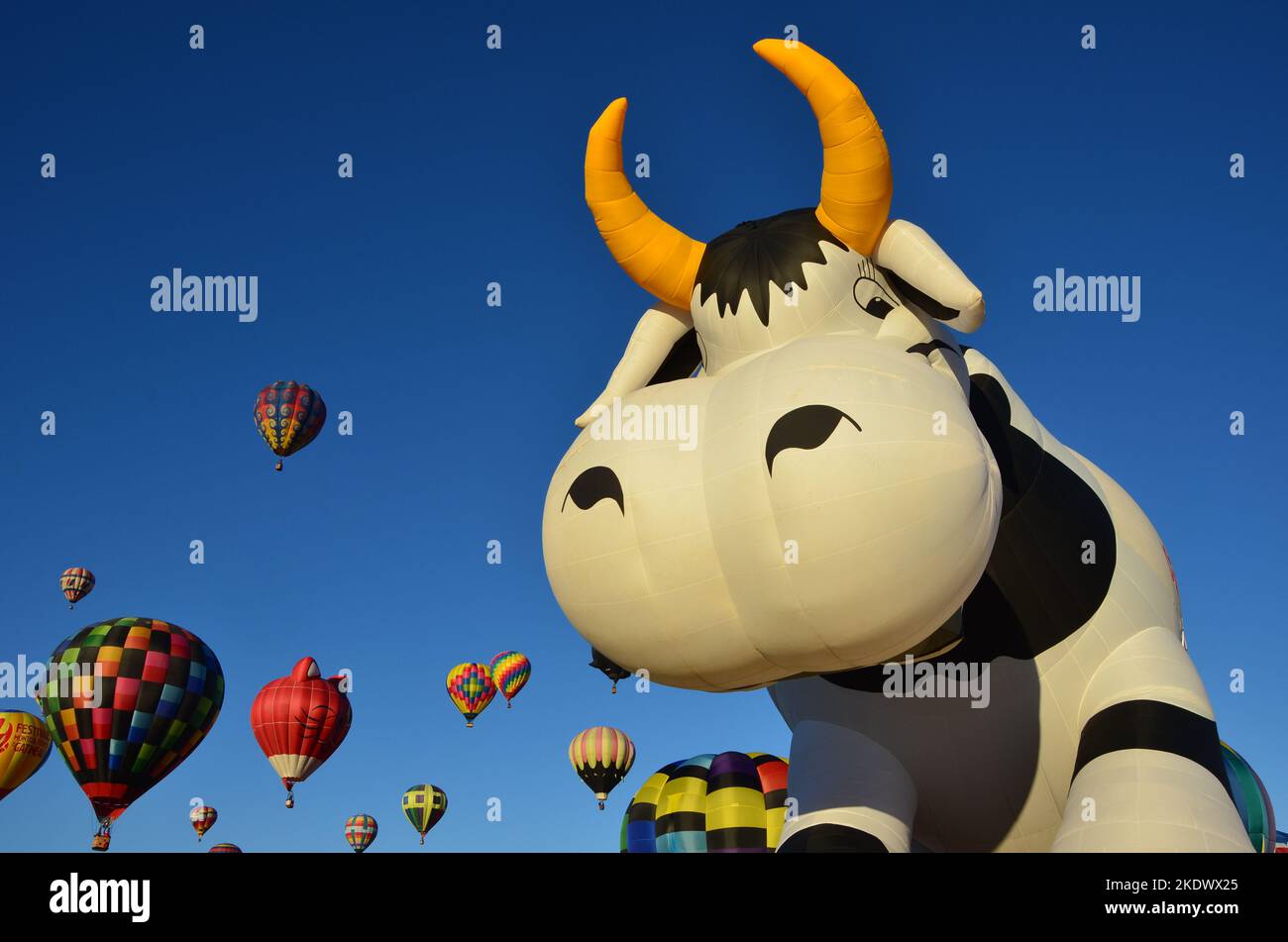 Creamland Cow Hot Air Balloon at Albuquerque international Balloon ...