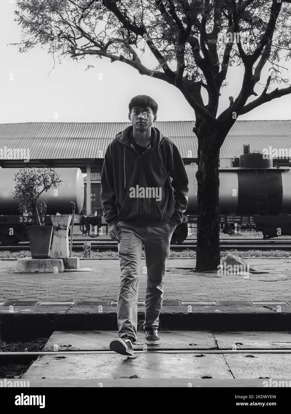 Young plant is born and grows from the soil on a black background ...