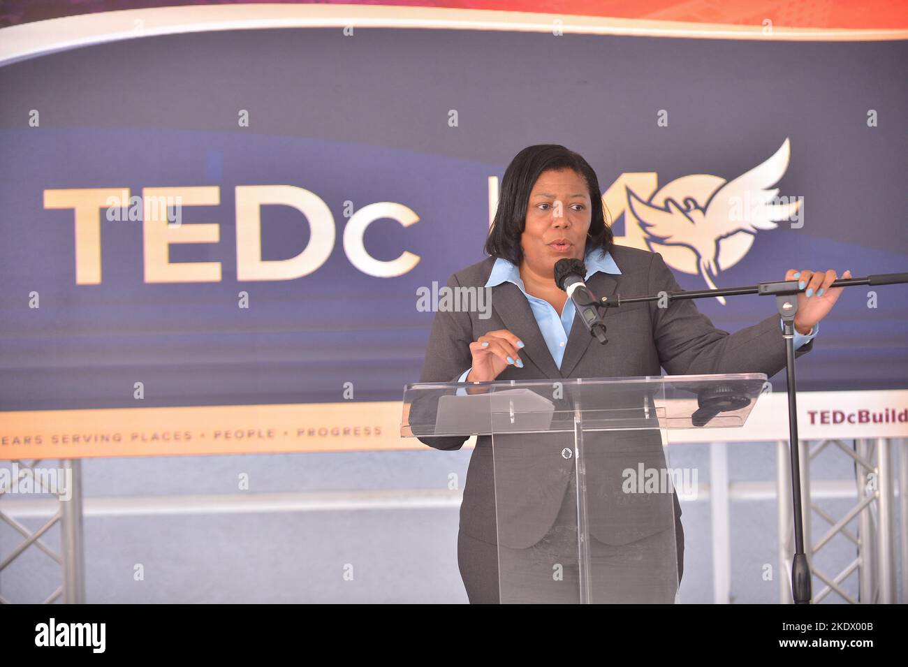 MIAMI, FLORIDA - NOVEMBER 03: Carol Gardner, President of TEDc attends ...