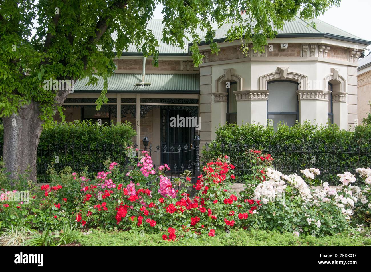 Roses flourish outside Victorian-era homes in North Adelaide, South ...