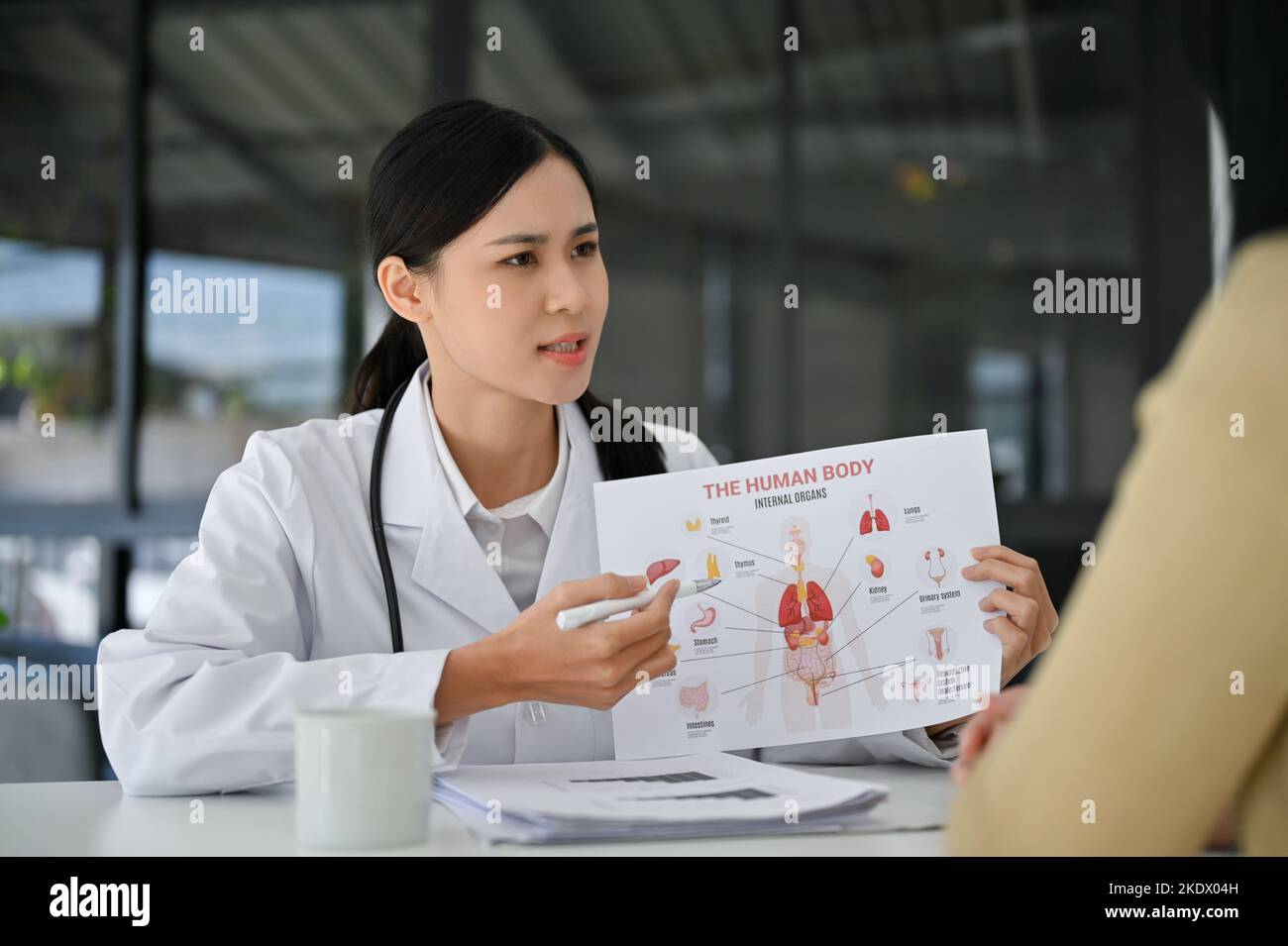 Professional young Asian female doctor explaining the human body system ...
