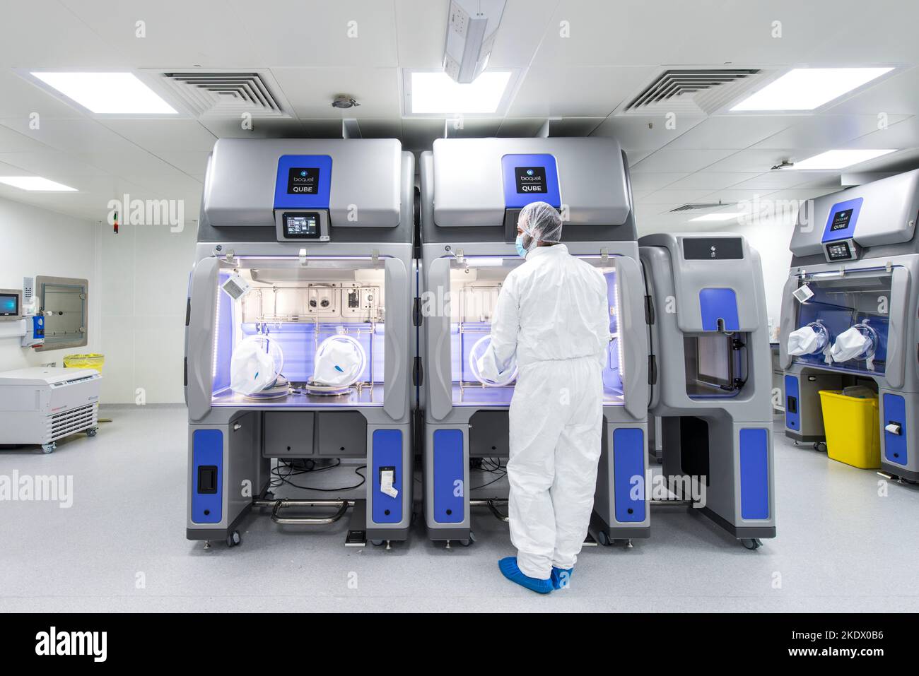 Researcher using an aseptic work station Stock Photo - Alamy