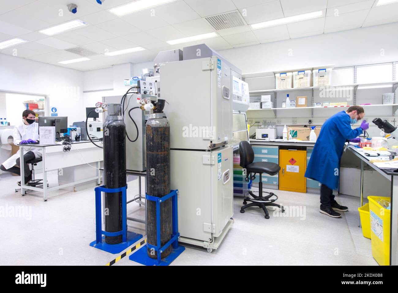 Compact carbon dioxide incubators in a cancer laboratory Stock Photo ...