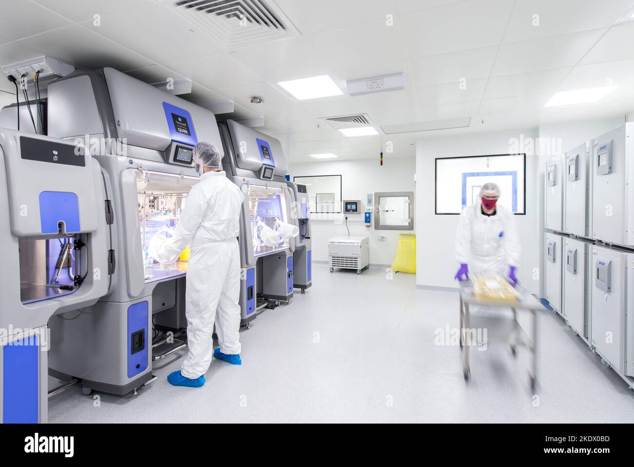Researcher using an aseptic work station Stock Photo - Alamy