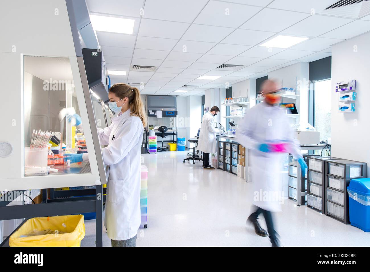 Cancer research laboratory Stock Photo - Alamy