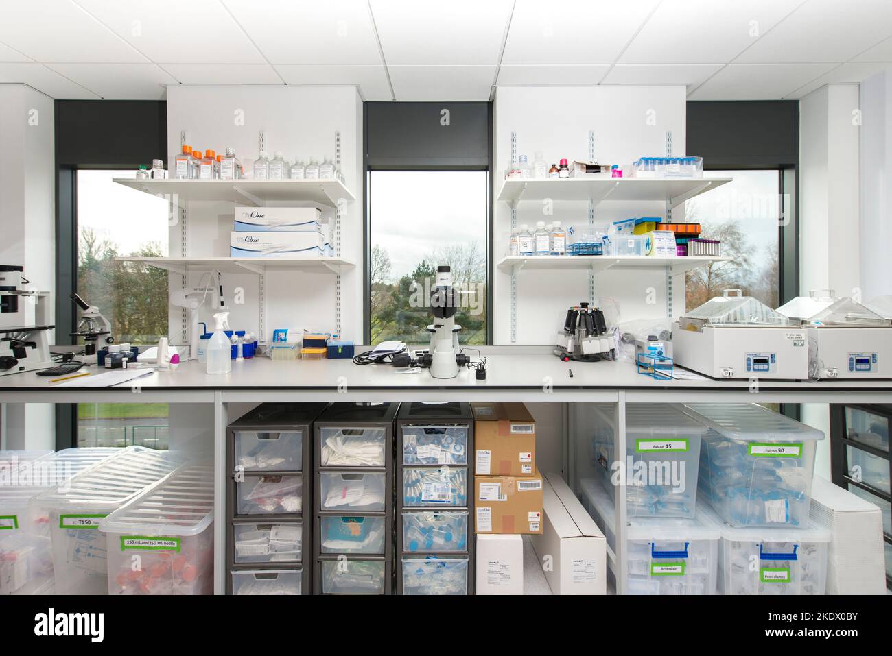 Cancer research laboratory Stock Photo - Alamy