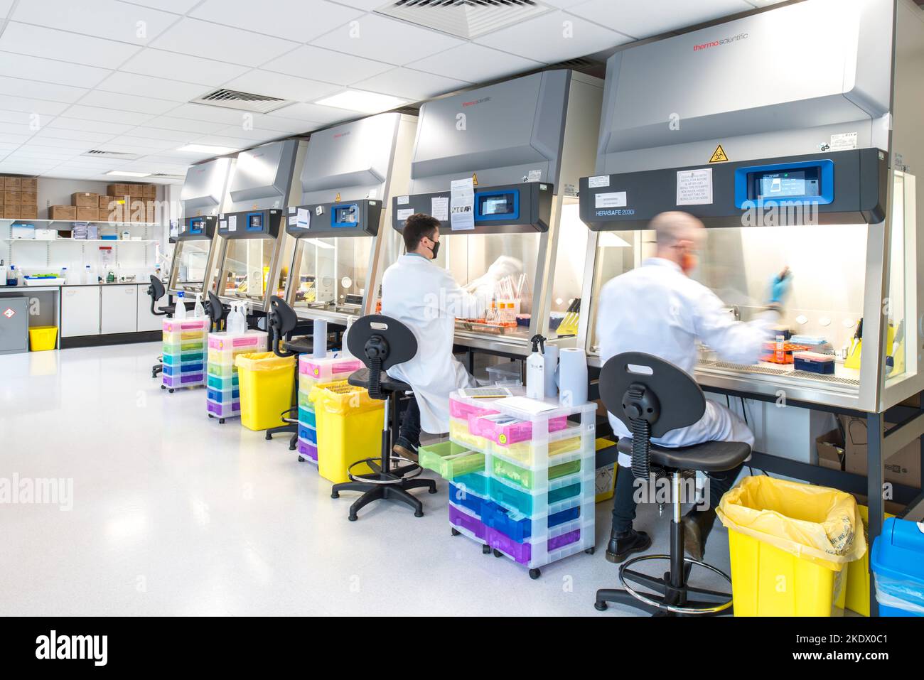 Cancer research laboratory Stock Photo - Alamy