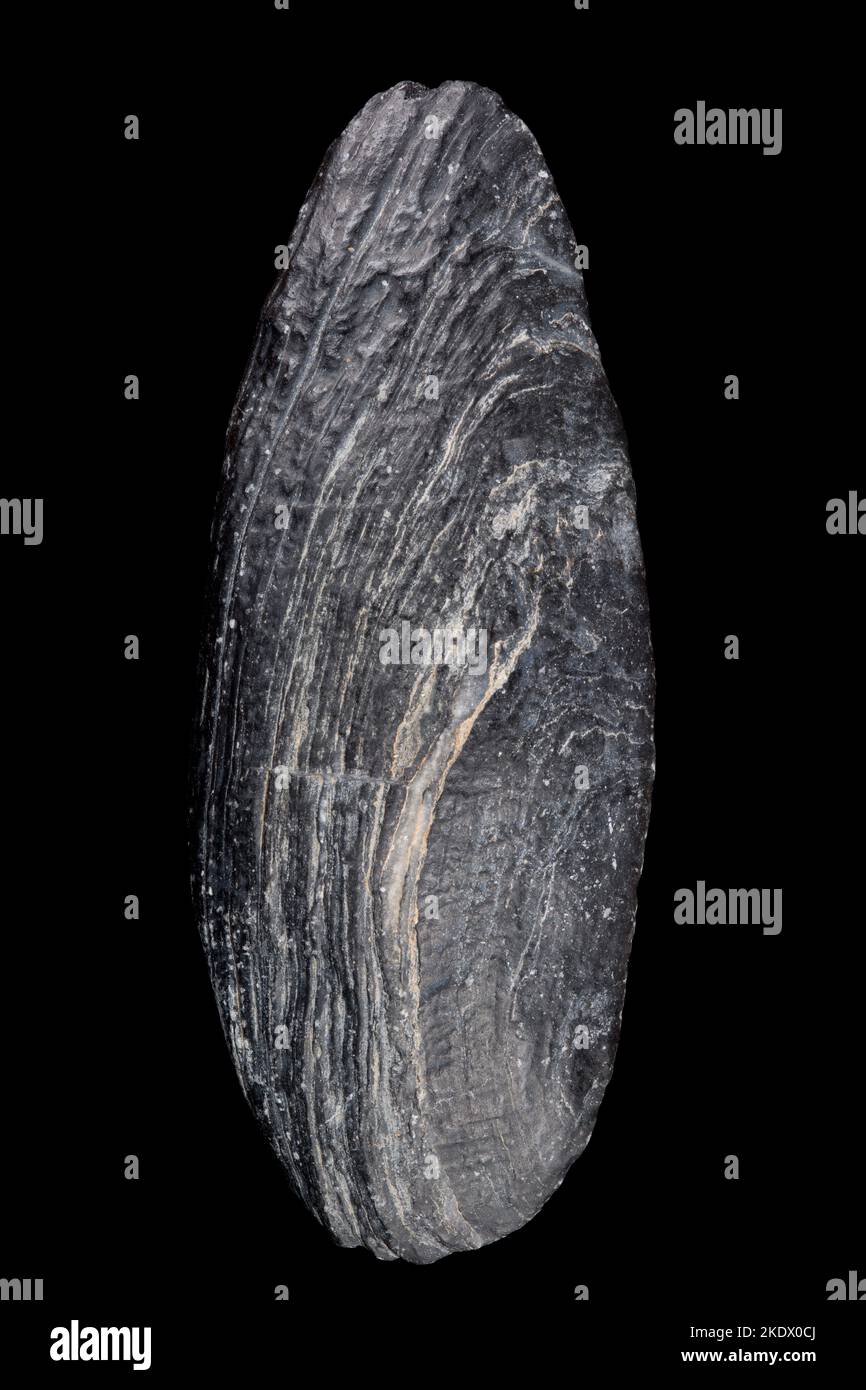 Neolithic stone tool Stock Photo - Alamy