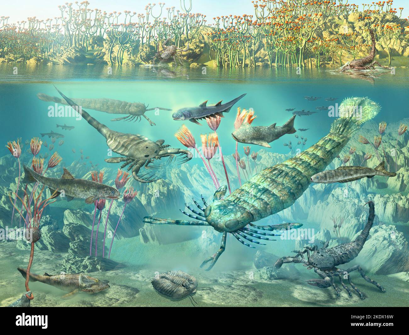 Prehistoric Silurian aquatic animals, illustration Stock Photo - Alamy