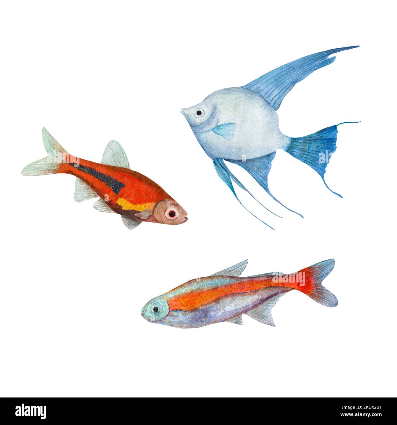 A set of tropical fish, in a watercolor style isolated on white ...