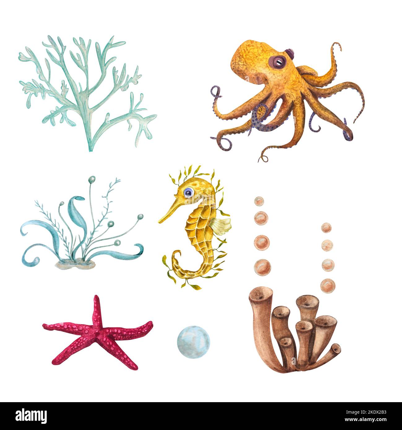 Watercolor illustration of a set of marine fauna isolated on white ...