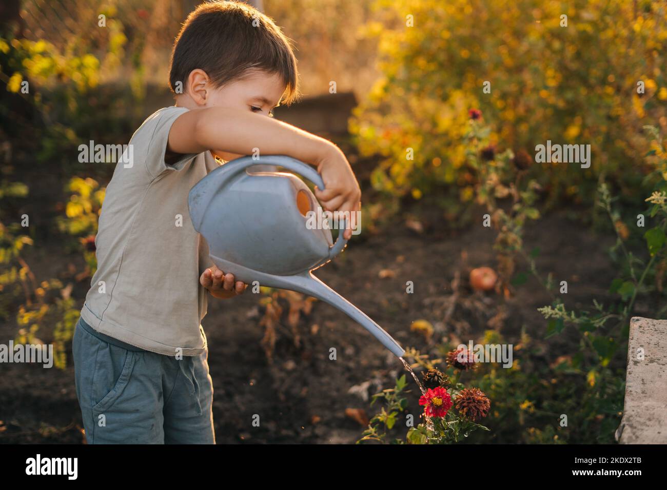 Adorable little boy watering plants with watering can in the garden ...